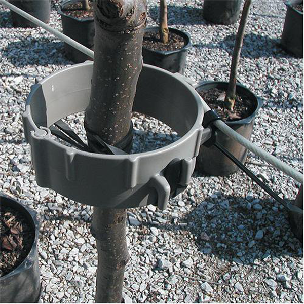 Trellis-Mate (3pk) Mounted Tree & Plant Support | TreeSupports